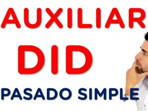 Oraciones con Did ¡Nuevas y Originales! 【2024】